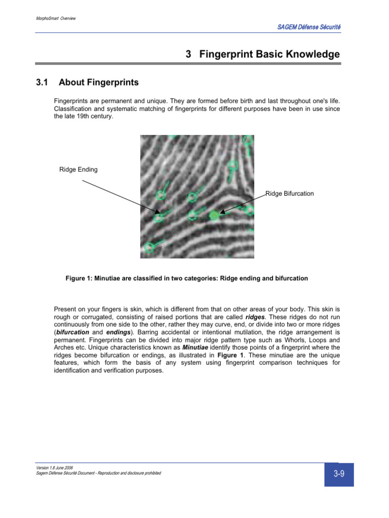 Fingerprint Knowledge | PDF | Fingerprint | Biometrics