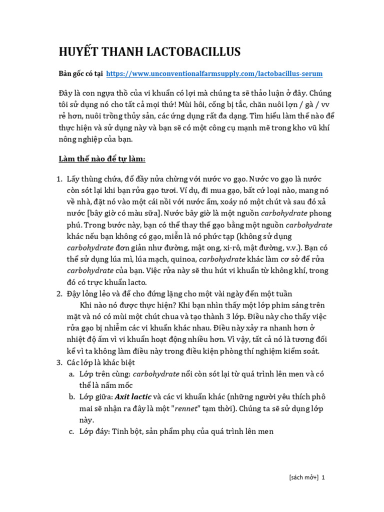 T Làm Men L. Bacilli Và Các NG D NG | PDF