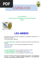 Amibiase Ou Amoebose | PDF | Maladies et troubles | Épidémiologie