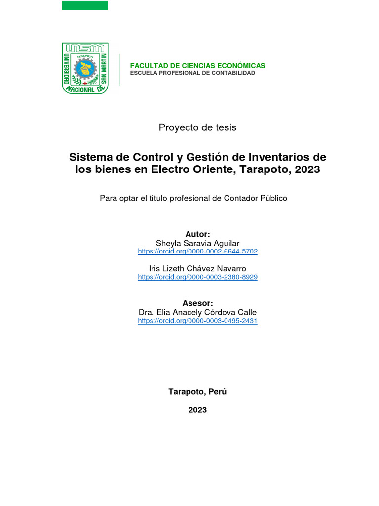 Proyecto Sheyla Saravia e Iris Chávez...... | PDF | Business | Auditoría