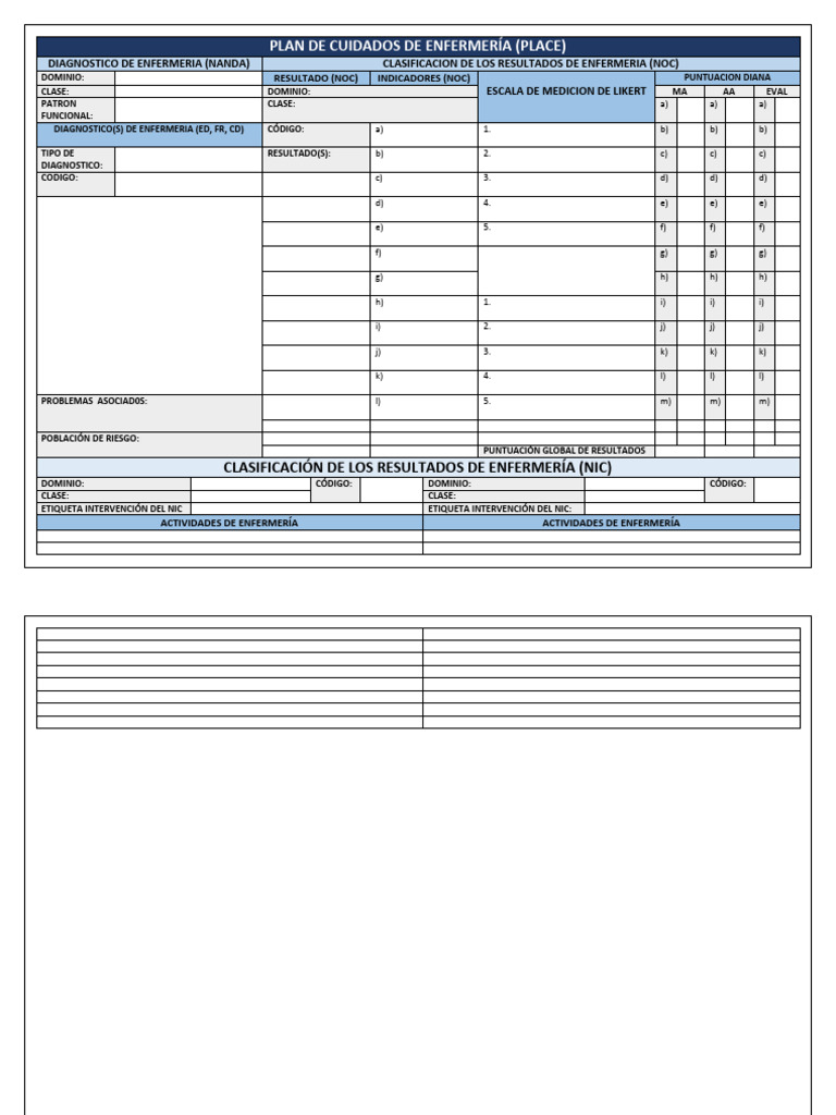 Formato Pae 2024 Pdf Enfermería Cuidado De La Salud