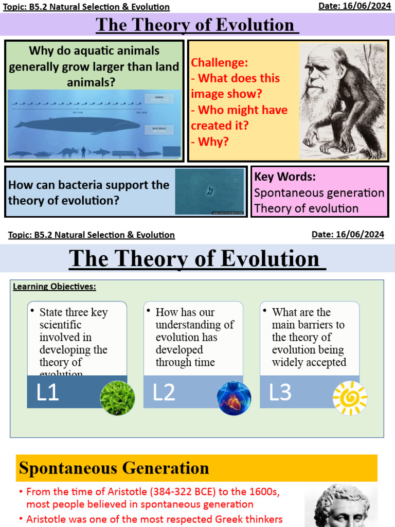 Evolution Theories Explained | PDF | Evolution | Natural Selection