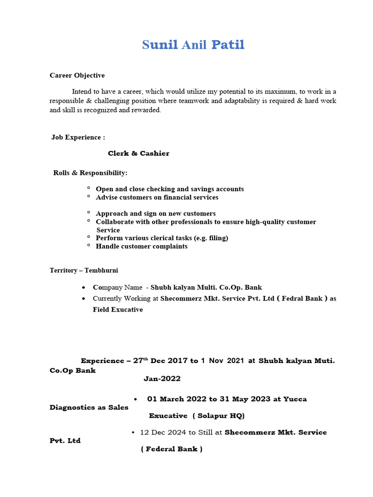 Sunil New Cv | PDF