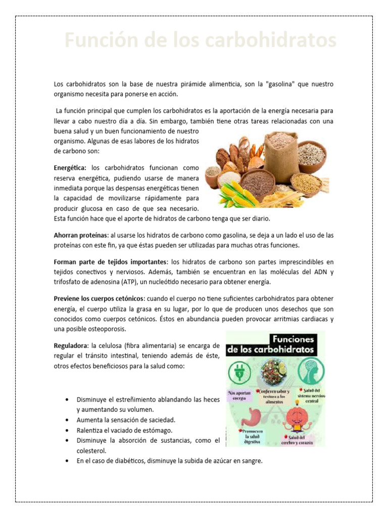 carbohidratos | PDF | Carbohidratos | Organismos