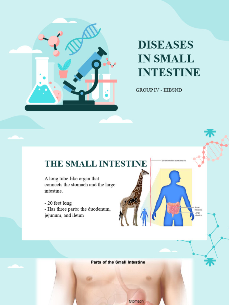 GROUP 4_MNT-SMALL_INTESTINE (MOD) | Download Free PDF | Small Intestine ...