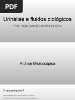 Atlas URINALISE | PDF