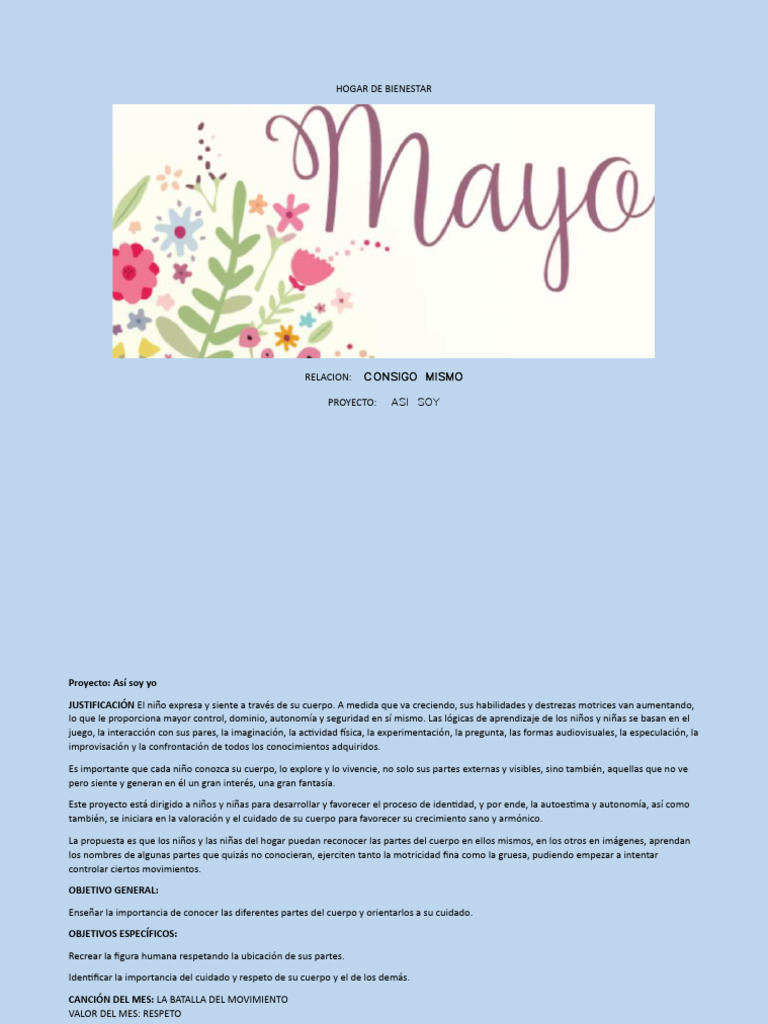 PLANEACION Mayo | PDF | Cognición