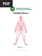Dr. Tan's Balance Method Overview | PDF | Human Leg | Acupuncture