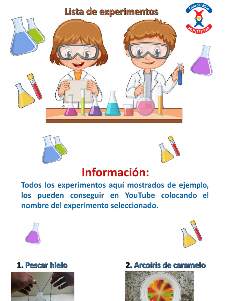 Experimentos 2024 | PDF | Bienestar