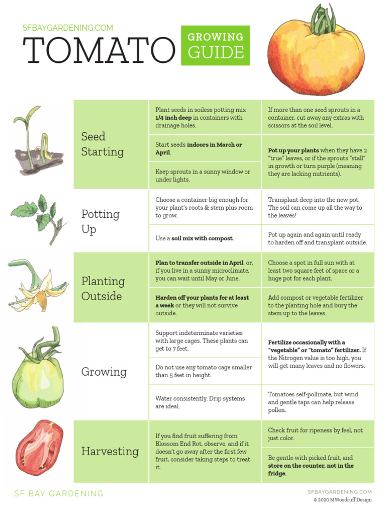 Tomato Growing Guide 2020 | PDF | Tomato | Plants