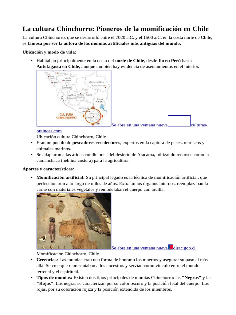 Momias Chinchorro: Patrimonio Ancestral | PDF | Ciencias sociales
