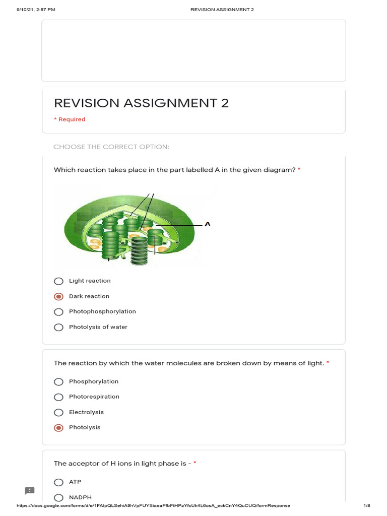 REVISION ASSIGNMENT 2 | Download Free PDF | Photosynthesis | Leaf REVISION ASSIGNMENT 2 | Download Free PDF | Photosynthesis | Leaf