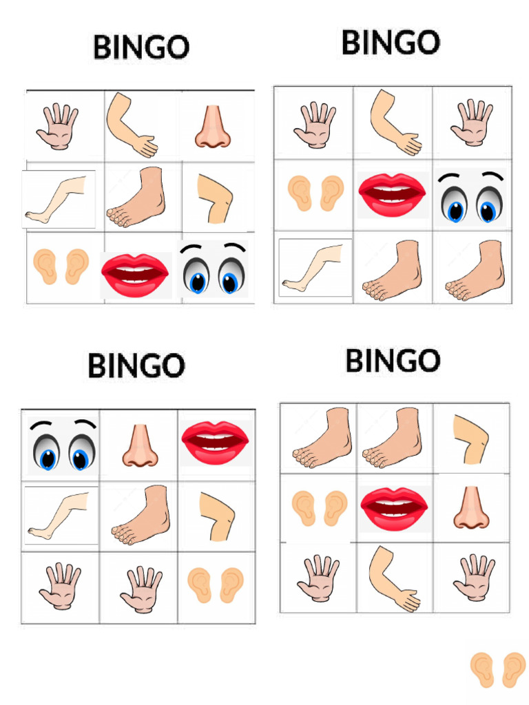 Parts of The Body Bingo | PDF