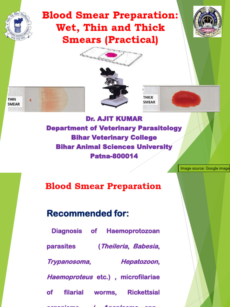 Blood Smear Preparation Techniques | PDF | Medical Specialties ...