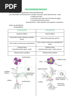 BBCH Stupnice | PDF
