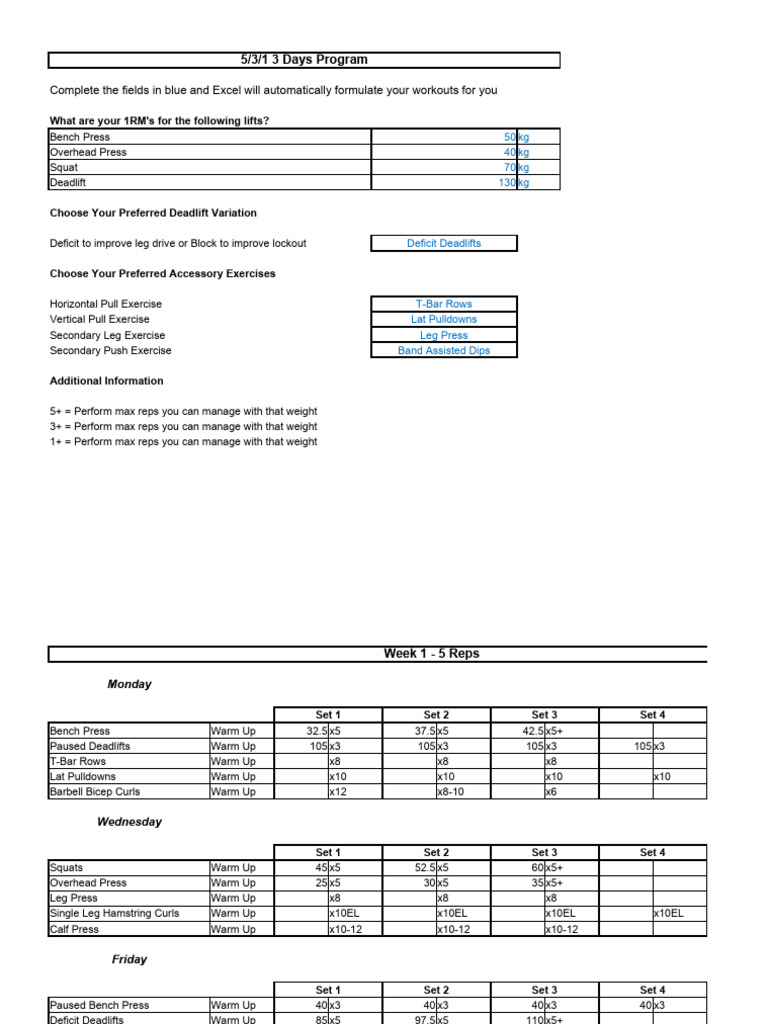 5/3/1 Workout Program Guide | PDF | Weight | Physical Exercise