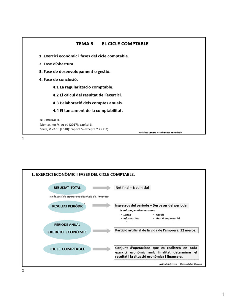 Tema 3_Cicle comptable | PDF