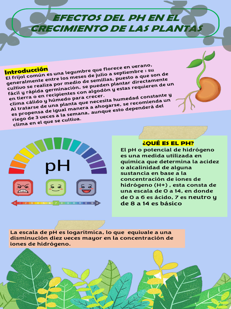 efectos del pH en las plantas | Descargar gratis PDF | Ph | Química