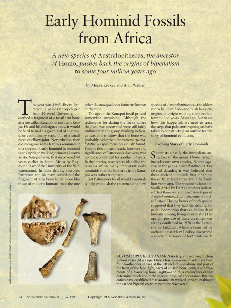 Leakey Walker 1997 - Early Hominid Fossils From Africa | PDF ...