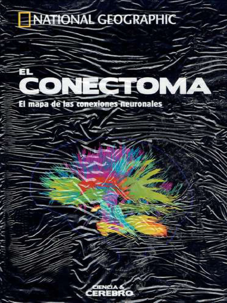 19 El Conectoma | PDF | Sinapsis | Neurona
