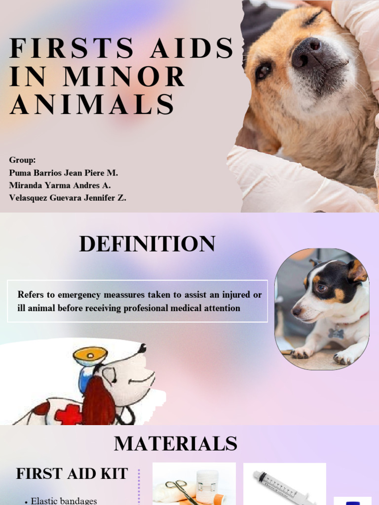First Aid in Minor Animals | PDF