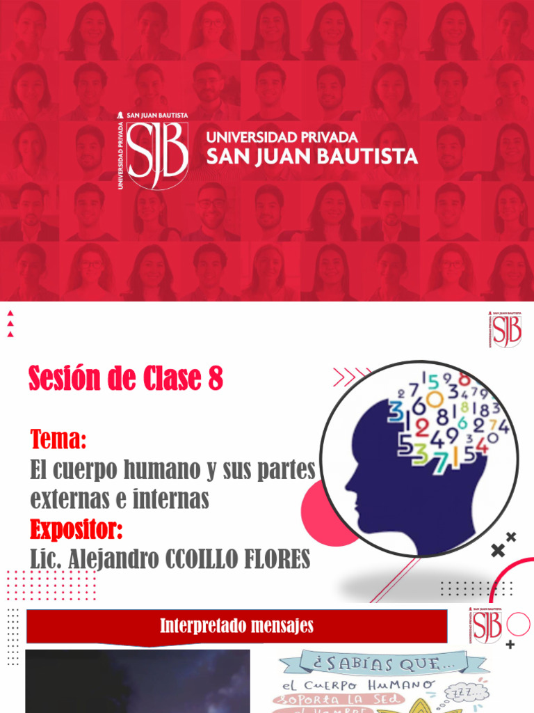 Ppt 08 El Cuerpo Humano Y Sus Partes Pdf Anatomía Morfología