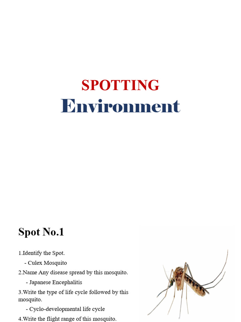 PSM Environment Spot | PDF | Mosquito
