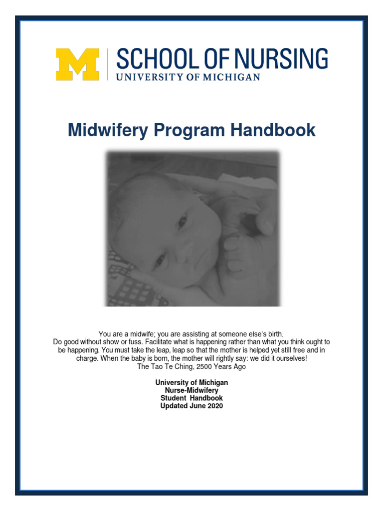 Nurse Midwiferyhandbook25june2020 | PDF | Childbirth | Midwife