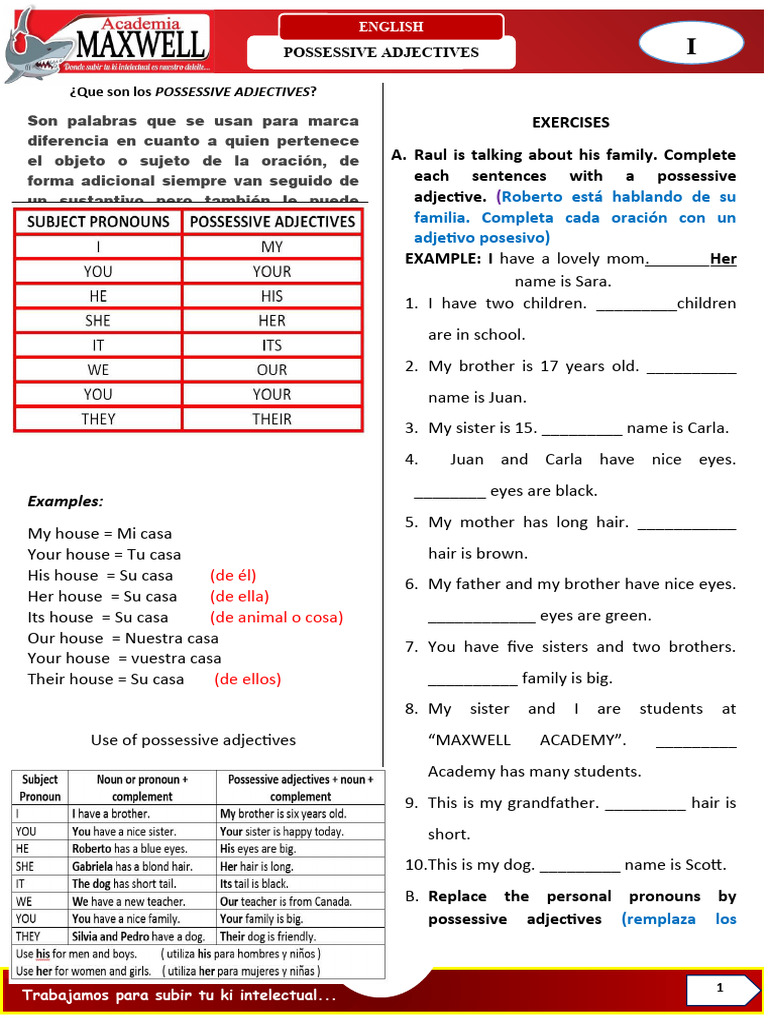 POSSESSIVE ADJECTIVES Secundaria | PDF | Semantic Units | Semantics