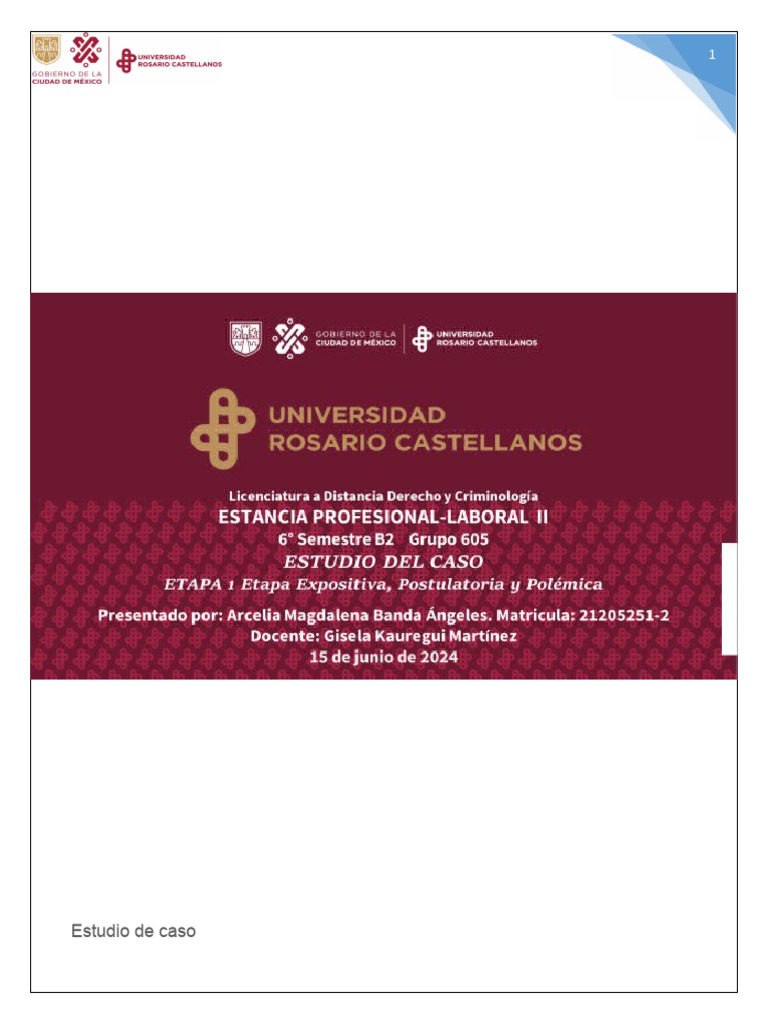 Ldcrep601 p1 Demanda E2 Banda Arcelia | PDF | Demanda judicial | México