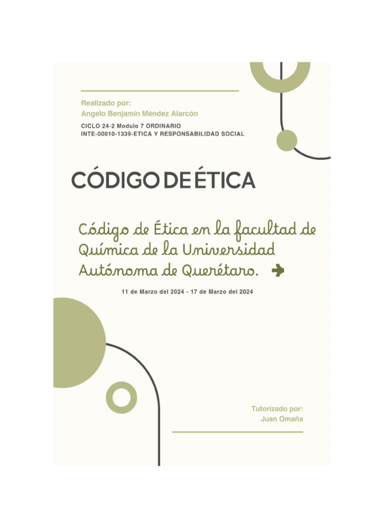 Código de Ética Profesional y Valores | PDF | Moralidad