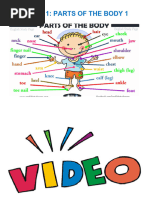 Latin Body Parts Glossary | PDF | Human Anatomy | Primate Anatomy