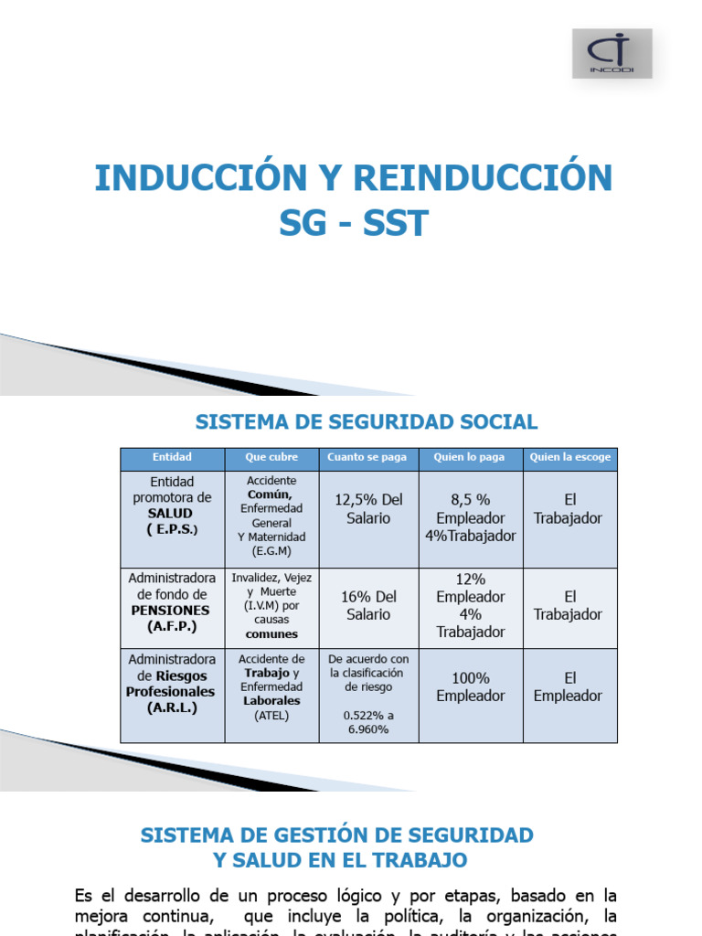Induccion y Reinduccion de SST | PDF | Valores