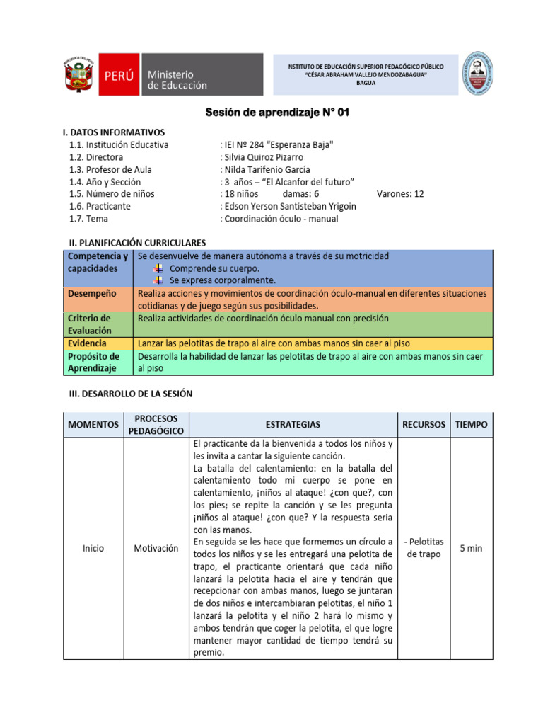 Sesion de Aprendizaje Individual | PDF | Aprendizaje | Modificación de comportamiento