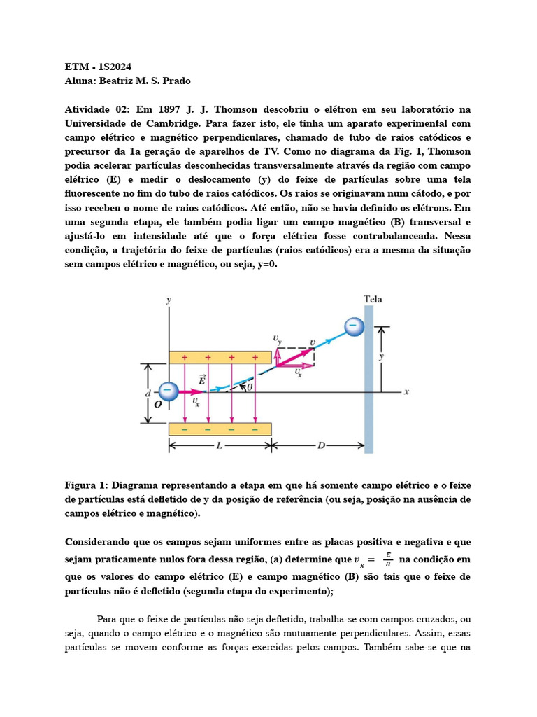 Atividade 02 - ETM | PDF | Magnetismo | Elétron