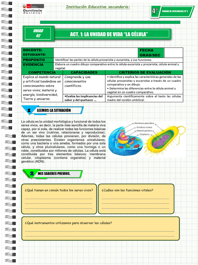 A-4º ACT 1-CYT-UND 2- SEM 1-1 | Descargar gratis PDF | Biología Celular) | Célula madre