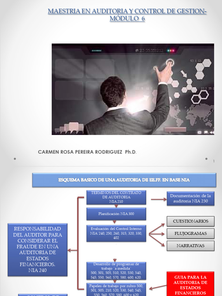 Esquema Del Proceso de Auditoria | PDF | Auditoría | Contralor