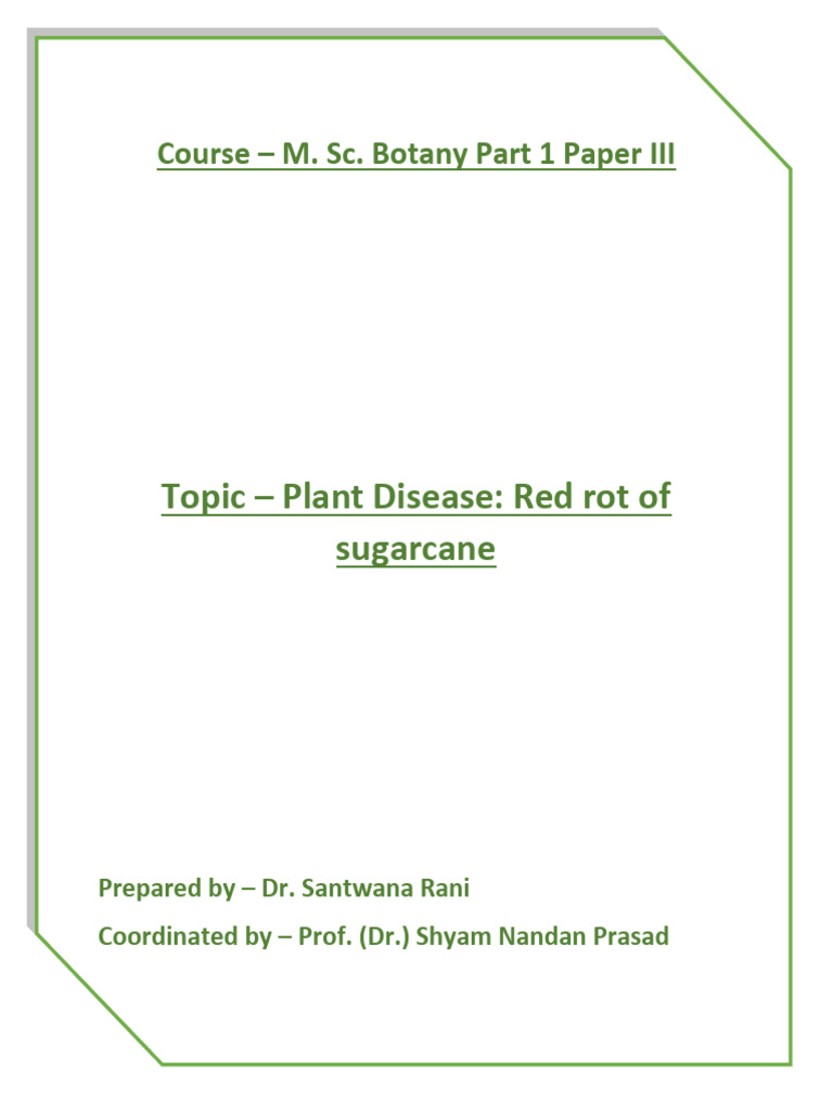 Red Rot of Sugar Cane | PDF | Fungus | Sugarcane