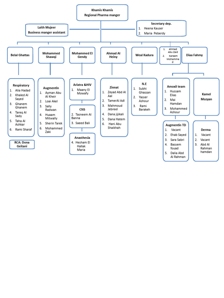 DSNE Organogram 2011 | PDF
