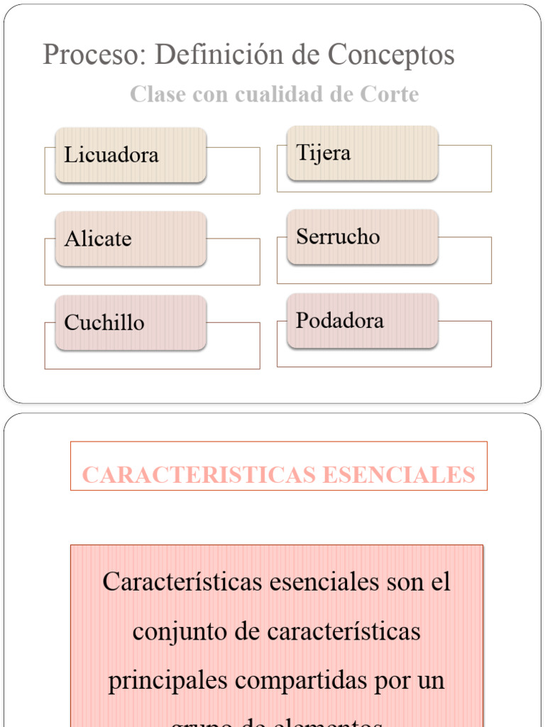 4definición Con Caracteristicas Esenciales | PDF