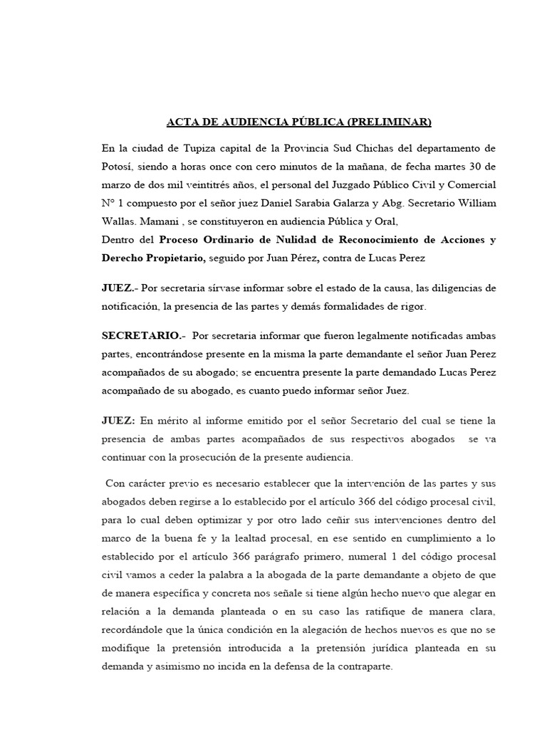 Acta de Audiencia Pública | PDF | Demanda judicial | Ley procesal