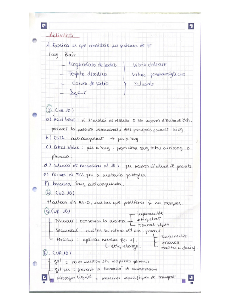 Documentos Escaneados 2 | PDF