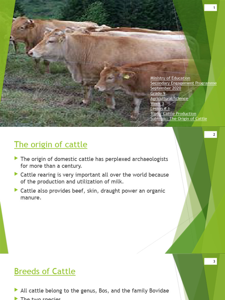 Grade 9 Agriculture Science Week 3 Lesson 1 | PDF | Cattle | Breeding Grade 9 Agriculture Science Week 3 Lesson 1 | PDF | Cattle | Breeding