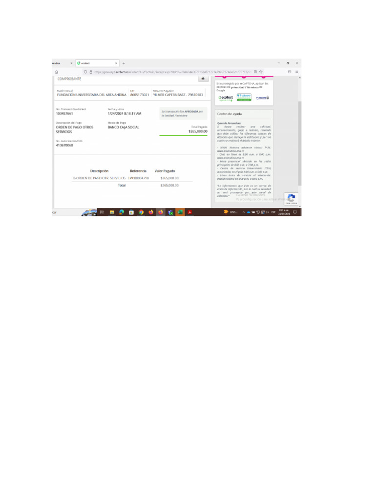 Pantallazo Pago Dian Examenes 2024 | PDF