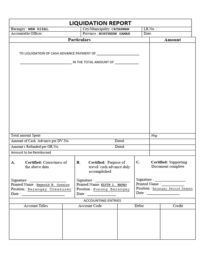 Liquidation Report - Sample | PDF
