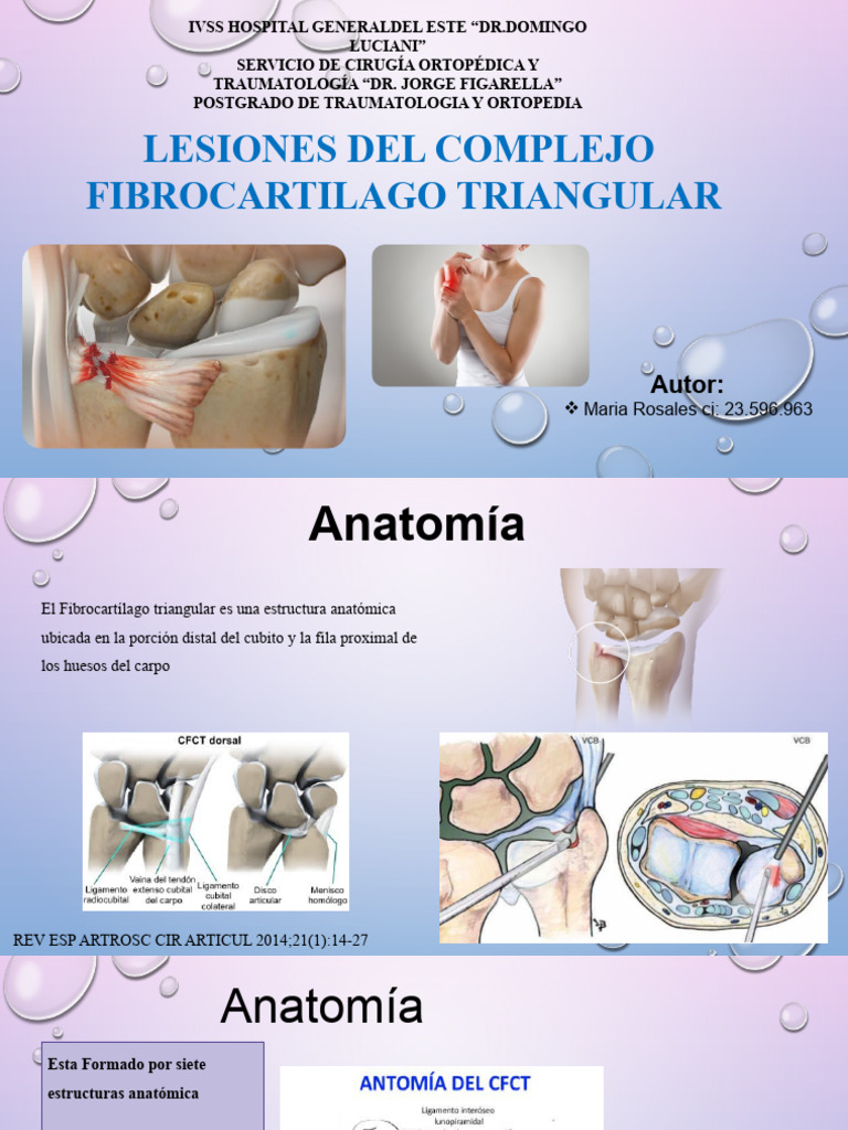 Fibrocartilago Triangular Diapos | PDF | Extremidades (anatomía) | Sistema esquelético