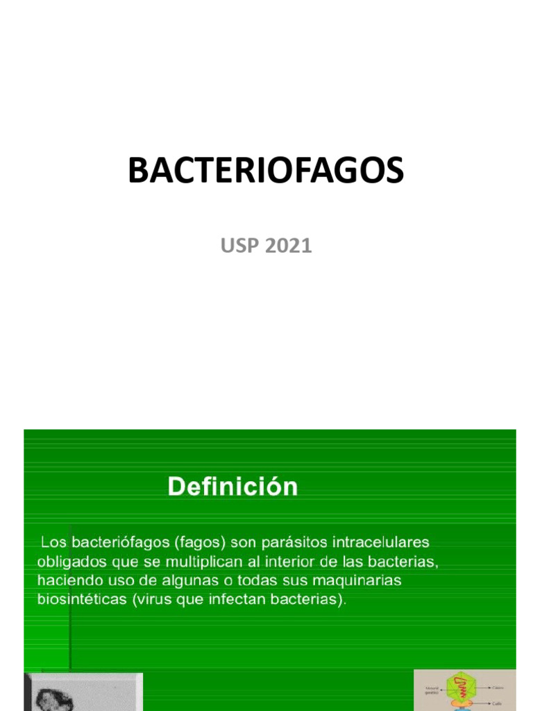 Bacteriófagos: Ciclos y Transducción | PDF | Bacteriófago | Virus