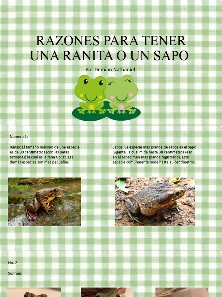RAZONES PARA TENER RANAS O SAPOS | PDF