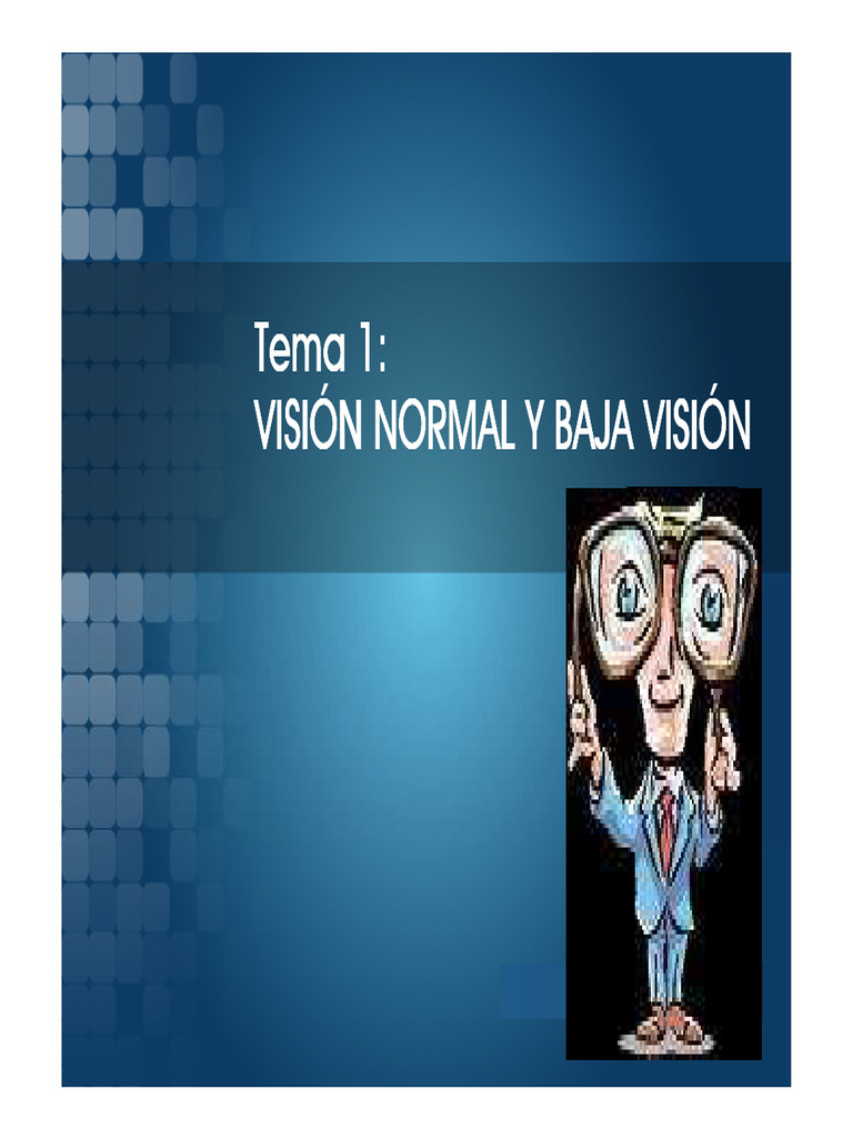 Visión Normal y Baja Visión: Definiciones | PDF | Percepción visual ...