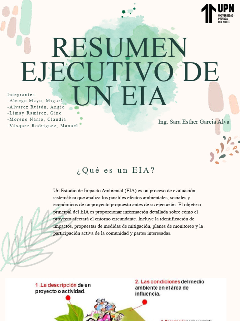 Resumen Ejecutivo de Un Eia | PDF | Evaluación de impacto ambiental
